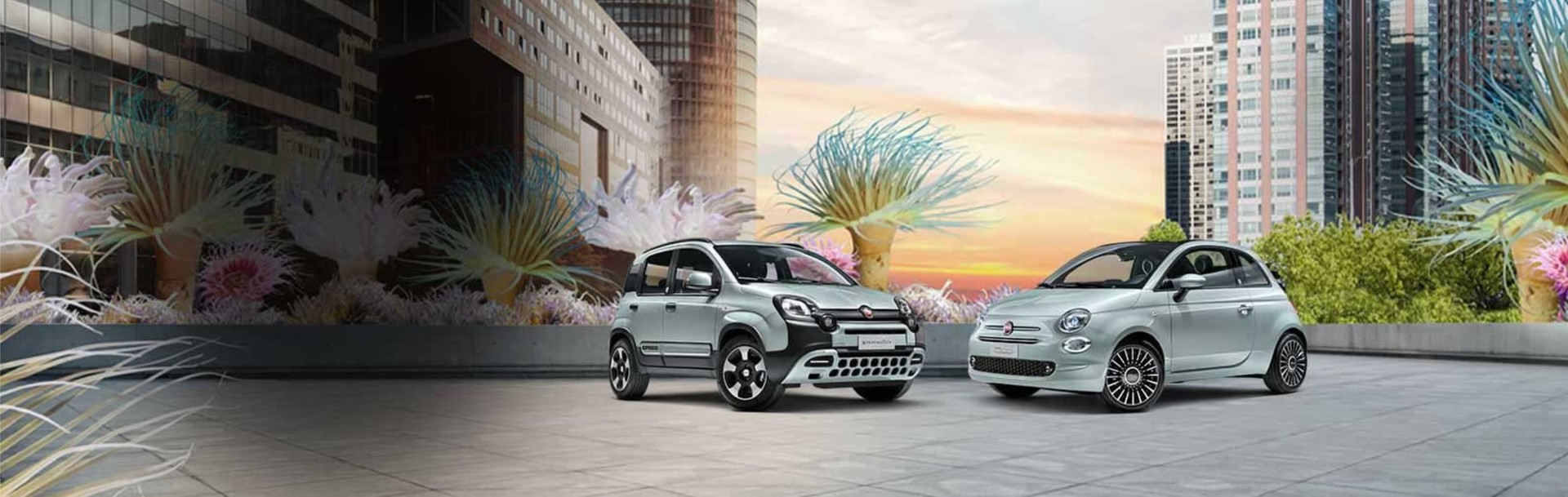 Pavan Srl | Concessionaria Partner Fiat e DR Piove di Sacco