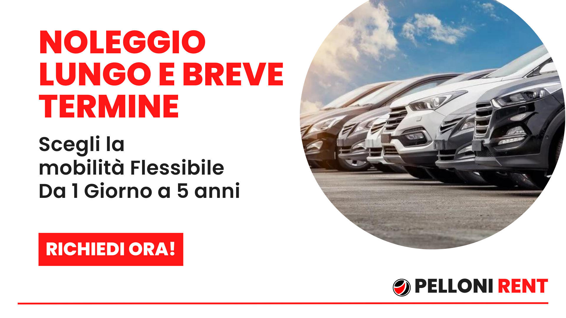 Pelloni Auto - Nissan Mitsubishi DR EVO KGM EMC Aiways Micro Foton ...